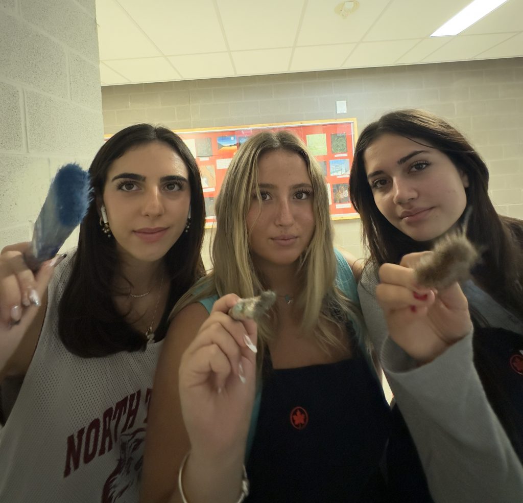 Art on Classroom Doors – North Toronto Collegiate Institute